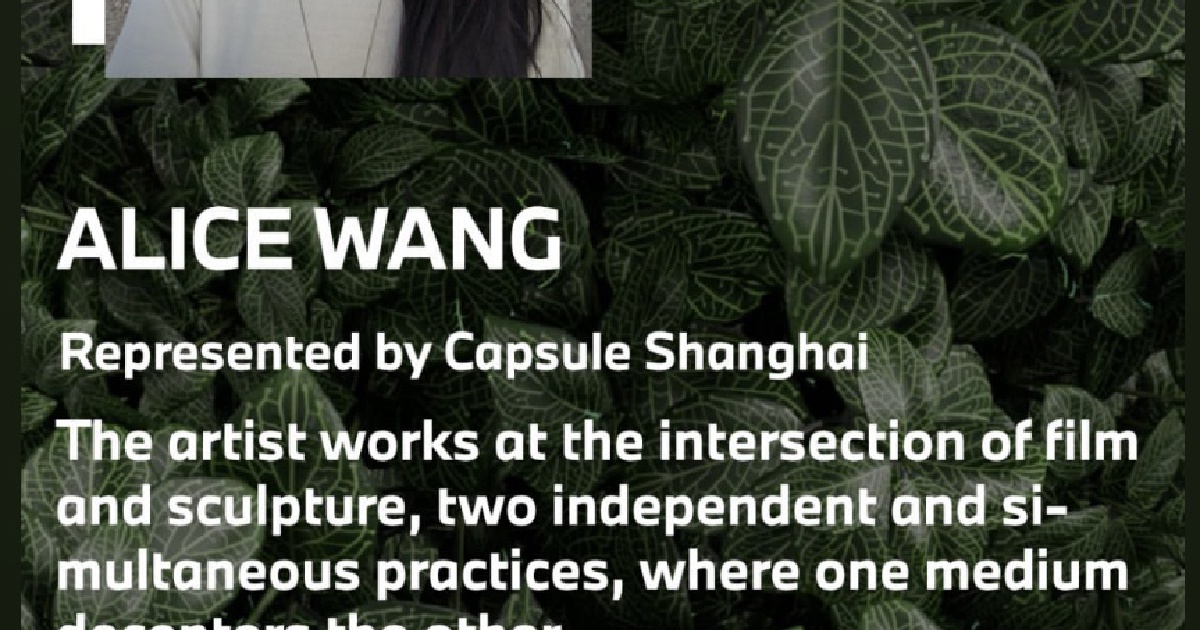 Alice Wang Shortlisted for the 2021 BMW Art Journey | Capsule Shanghai